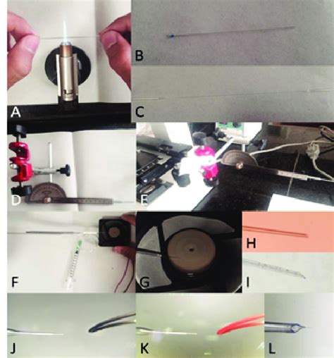 Steps Involved In The Preparation Of A Microinjection Needle For The Download Scientific