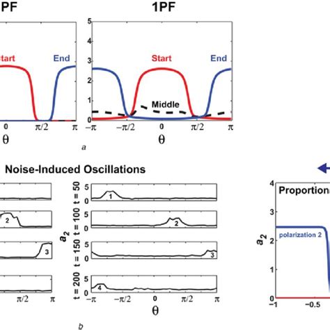 PDE Modelling Of Mating Morphologies A Presence Of Two Positive Download Scientific Diagram