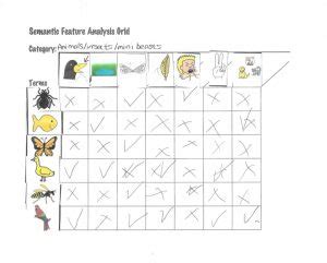 Guest Post Semantic Feature Analysis Speechbloguk