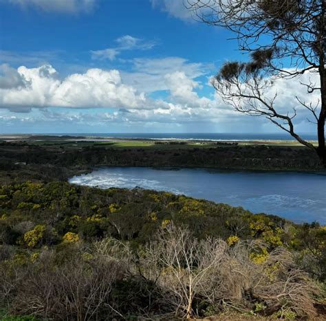 Exploring The Coastal Towns Along The Great Ocean Road Australian Tours