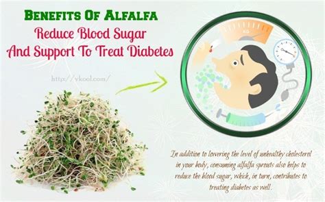 10 Benefits Of Alfalfa Sprouts You Should Know