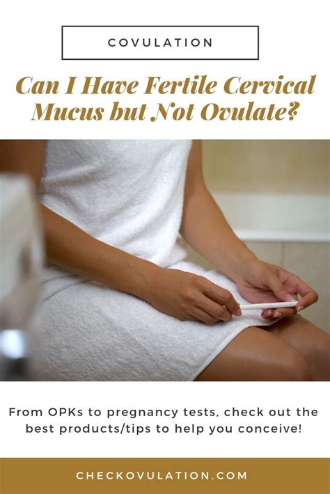 Pin On Check Ovulation