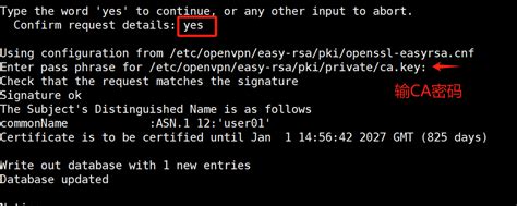 使用OpenVPN OneAPI Ollama Dify搭建一个兼容OpenAI的API发布及AI应用开发系统一搭建OpneVPN