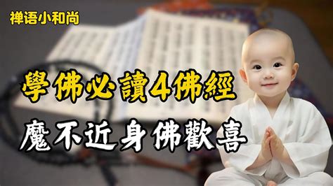 修行人必看！學佛不讀這4部佛經，就是在趕走佛菩薩，你都讀過嗎？ 禪語小和尚 佛教 正能量 念佛 Youtube