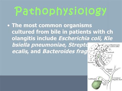 Acute Cholangitis