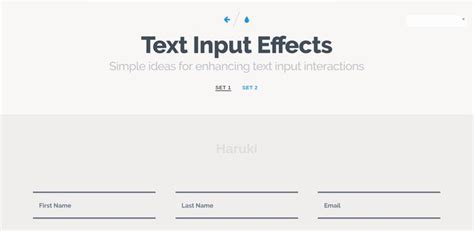 Text Input Box Text First Names Names