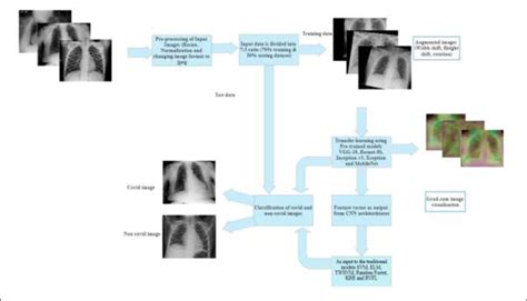 Schematic Representing The Proposed Methodology For The Automatic Download Scientific Diagram