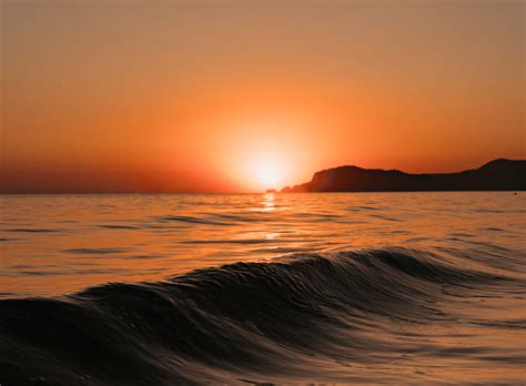 Iol X Portal Home Iol X Portal