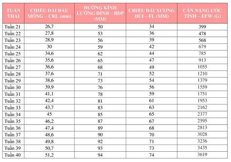 C C Ch S Thai Nhi Chi Ti T Theo T Ng Tu N Marrybaby
