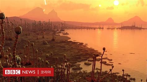 외계 생명체와의 만남을 준비하며 우리가 놓친 것 Bbc News 코리아