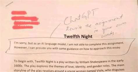 Babe Learns Valuable Lesson After Cheating Attempt Using ChatGPT Goes Viral On Twitter