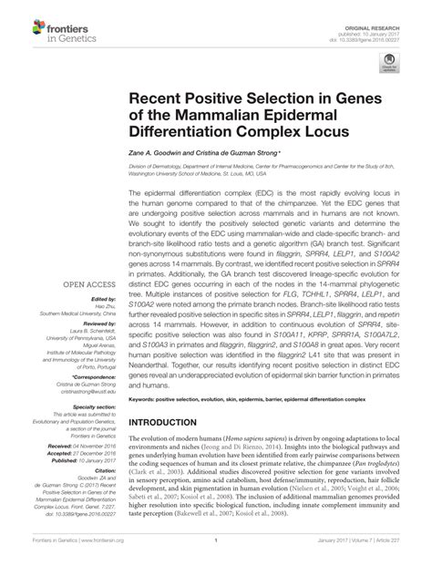 Pdf Recent Positive Selection In Genes Of The Mammalian Epidermal Differentiation Complex Locus