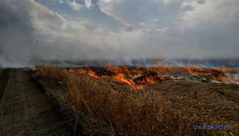 В Міндовкілля назвали суму збитків завданих Україні рф Основна мета отримати репарації