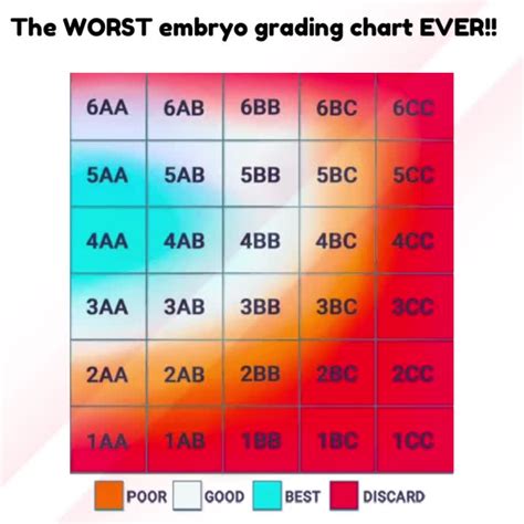 Emma Whitney On Linkedin The Worst Embryo Grading Chart Ever Dont Our Patients Deserve Better