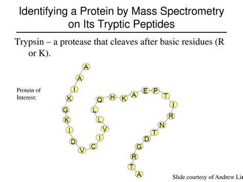 Mcb Exam 2 Review 11 3 Ppt Download