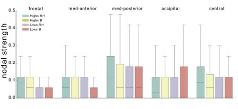 Spectral And Topological Analysis Of The Cortical Representation Of The