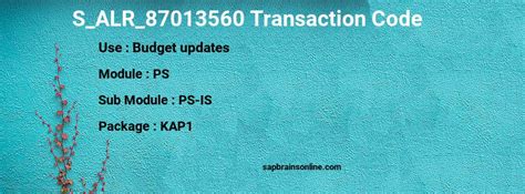 s alr 87013560 sap tcode for budget updates