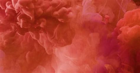 Imgur The Magic Of The Internet