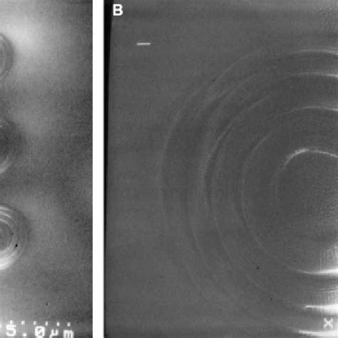 A An Array Of Diffractive Optical Lenses Fabricated By Replica