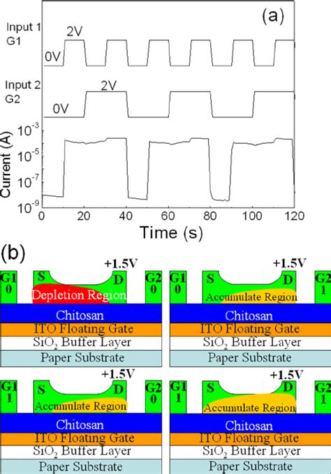 A Input Output Characteristics Of An OR Logic Element From A Dual Download Scientific