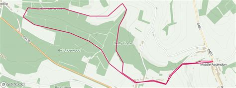 Middle Assendon Catslip