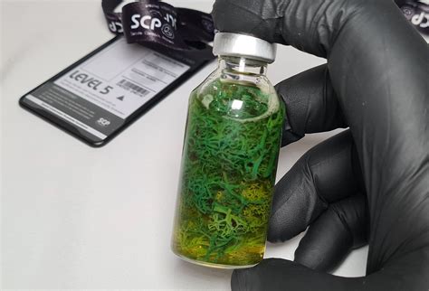 Scp 199 Fern Classification Euclid Cosplay Creepy Pasta Etsy Uk