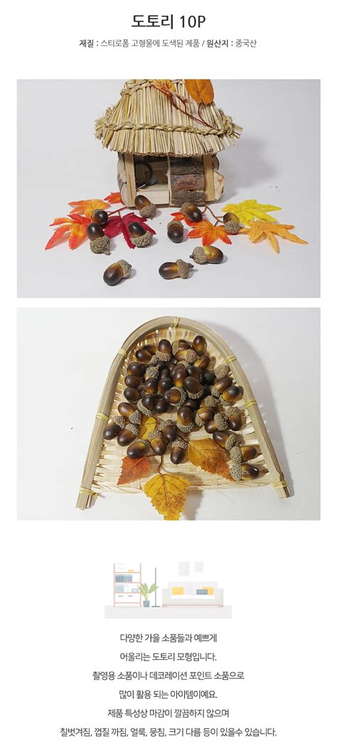 가을 열매 도토리 밤 고추 호박 마늘 대추 땅콩 버섯 솔방울 야채 과일 모형 Hansoften