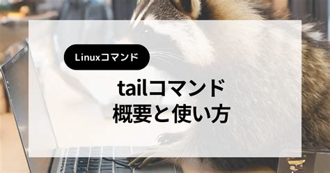 Linuxコマンド Tailコマンドの概要と使い方 やすひらブログ