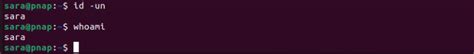 Whoami Linux Command Examples And Alternatives