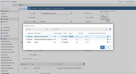 Item Master Maximo Secrets