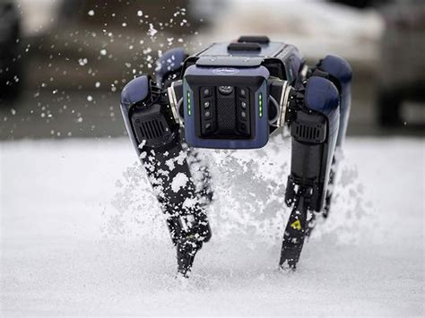 Video Robot Disguised As A Coyote Or Fox Will Scare Wildlife Away From Runways At Alaska Airport