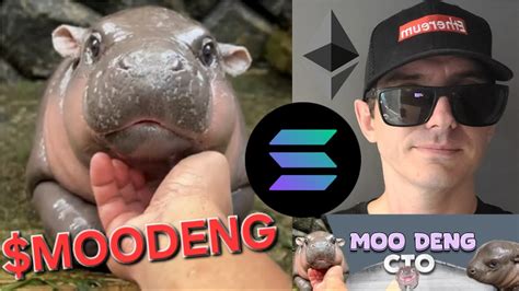 Moo Deng Price Prediction Could This Trending Hippo Inspired Meme Coin Reach New All Time High