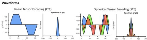 Linear Tensor Encoding Lte And Spherical Tensor Encoding Ste
