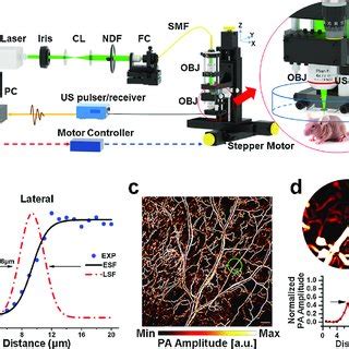 An Overview Of The OR PAM System A The OR PAM System CL Convex Download Scientific Diagram