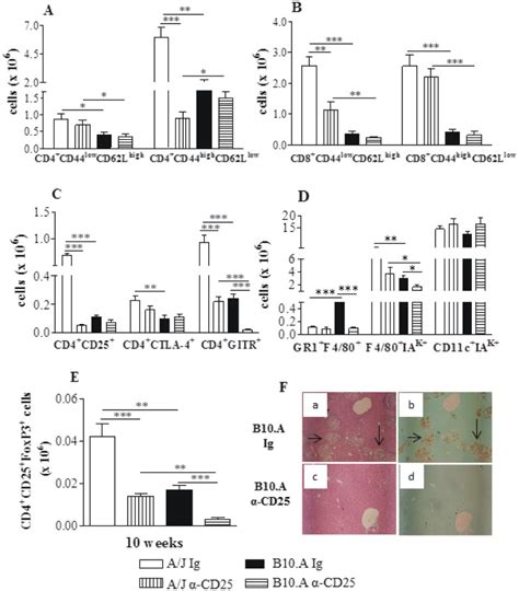 Characterization Of Leukocyte Subsets And Activation Profile Of Cells Download Scientific