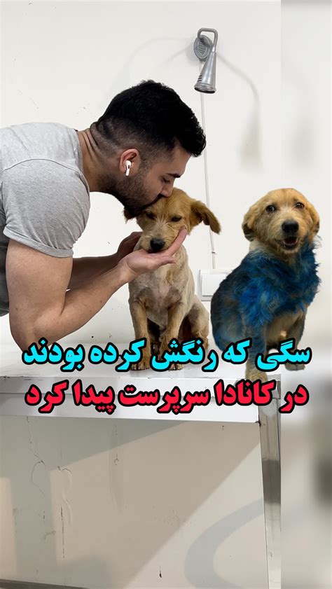 ‎سجاد ندیمی فعال حقوق حیوانات‎ ‎بلو کانادایی میشود🇨🇦 سگی که بدنش را رنگ کرده بودند ، همخانه