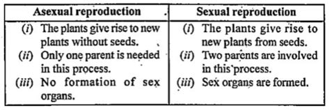 State The Main Difference Between Asexual And Sexual Reproduction