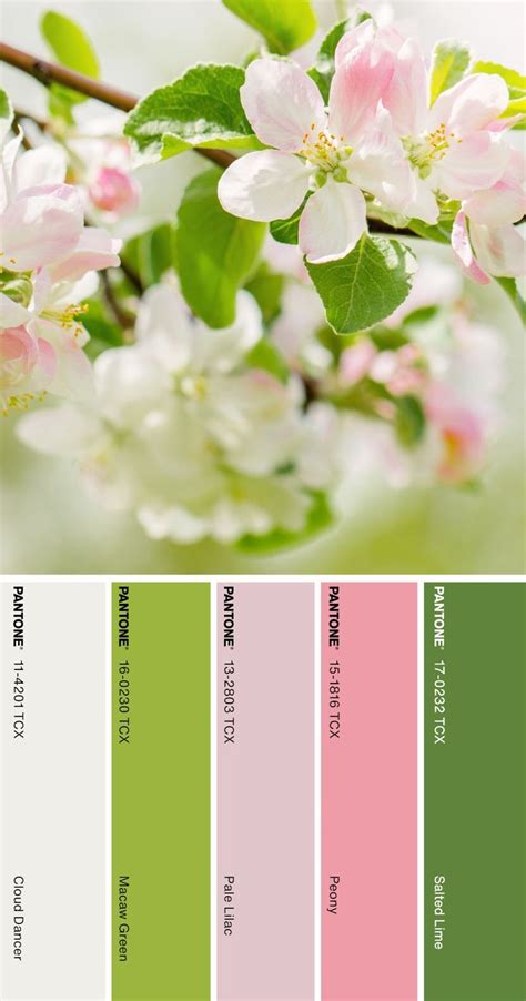 Pantone Color Palette For Spring