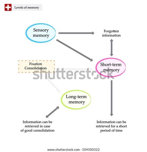 Long Term Memory Chart Keski