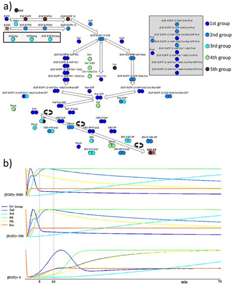 Protein Groups From Consensus Clustering A An “aggregated” Clustering Download Scientific