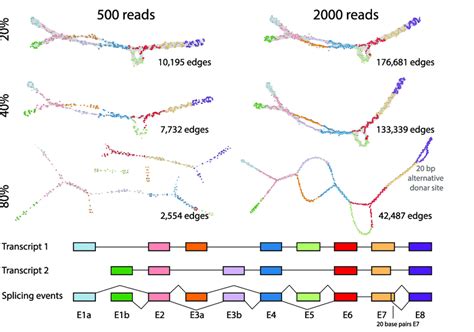 Graph Visualization Of Simulated Data Artificial Transcript Models