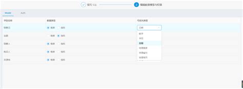 优化建议：日期格式数据支持格式自定义 · Issue 1579 · Edp963davinci · Github