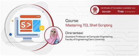 Ahmed Abdelazeem On Linkedin Mastering Tcl Shell Scripting