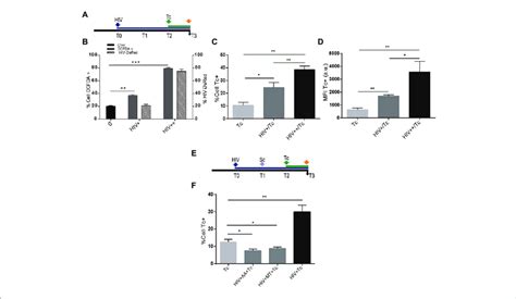 Role Of Hiv Induced Ros On Trypanosoma Cruzi Infection And Download Scientific Diagram