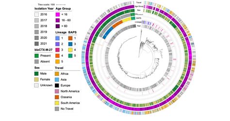 The Emergence Of An Xdr S Sonnei Outbreak In The United Kingdom A