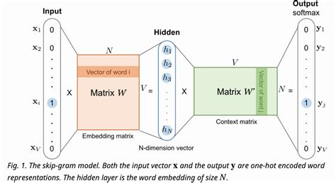 Word2Vec 6 Pytorch 實作 Skipgram with Negative Sampling seed9D s blog