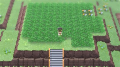 Brilliant Diamond Pokemon Mansion Garden At Marcus Riedel Blog