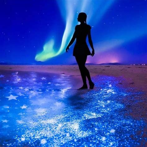 New Whatsapp Dp For Girls Attitude Cute Romantic And Sad Girls Whatsapp Dp Whatsapp