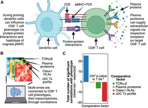 T Cell Receptor Sequences Are The Dominant Factor Contributing To The