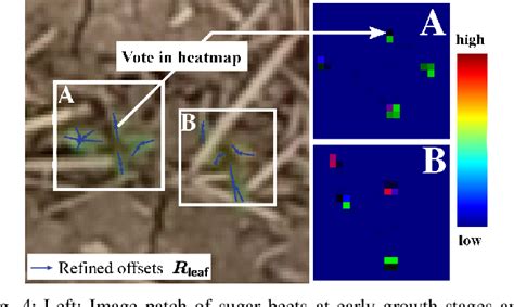 Figure 2 From Joint Plant And Leaf Instance Segmentation On Field Scale Uav Imagery Semantic